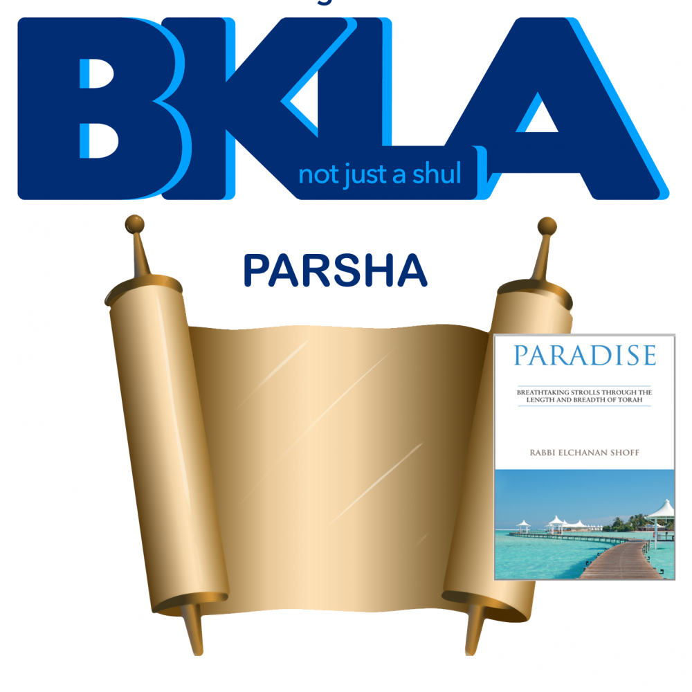 BKLA – Beis Knesses Los Angeles – Not Just a Shul